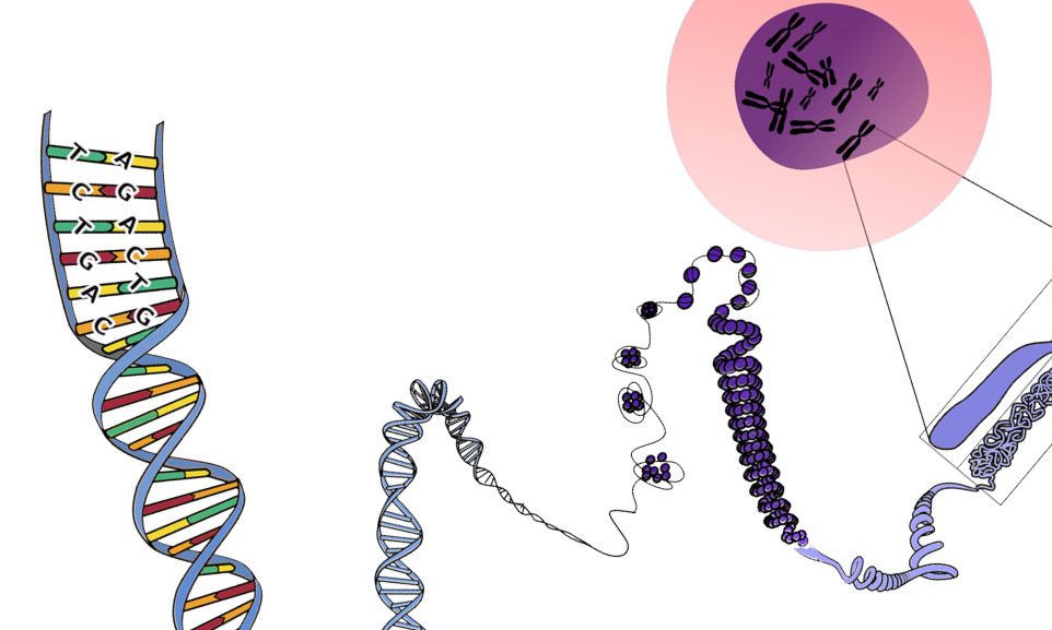 New Understanding of the Specific Mutations that Drive Cancer ...