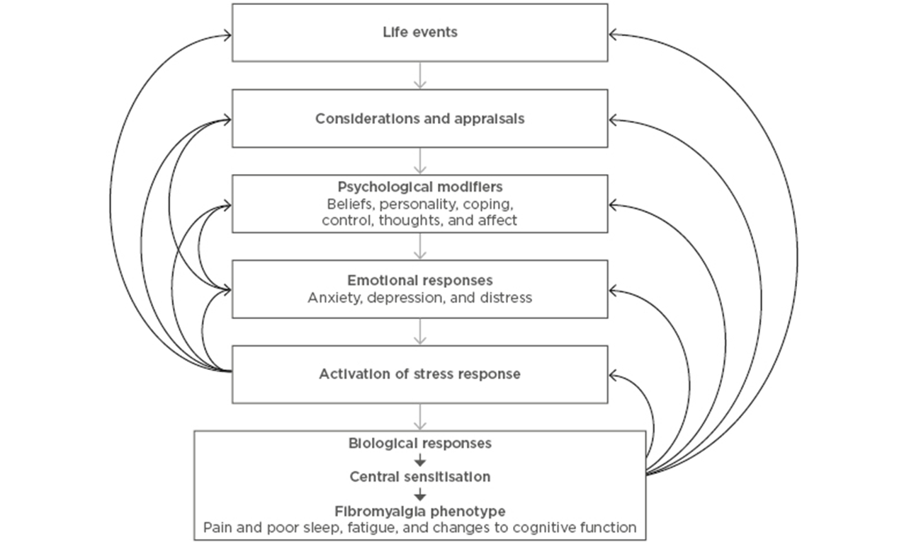 Central Processes Underlying Fibromyalgia | EMJ Reviews