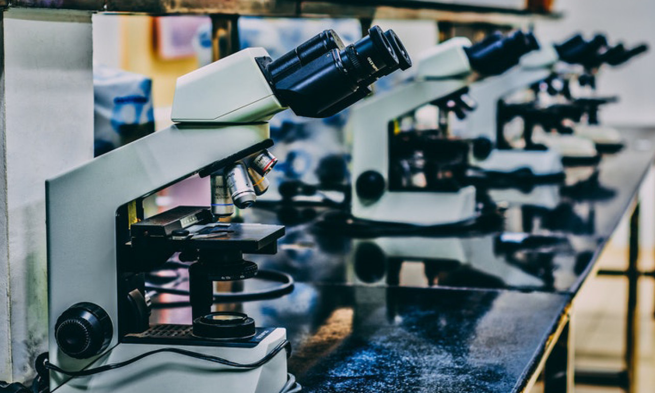 PD-1/PD-L1-Related Adverse Events Linked to Urothelial Carcinoma ...