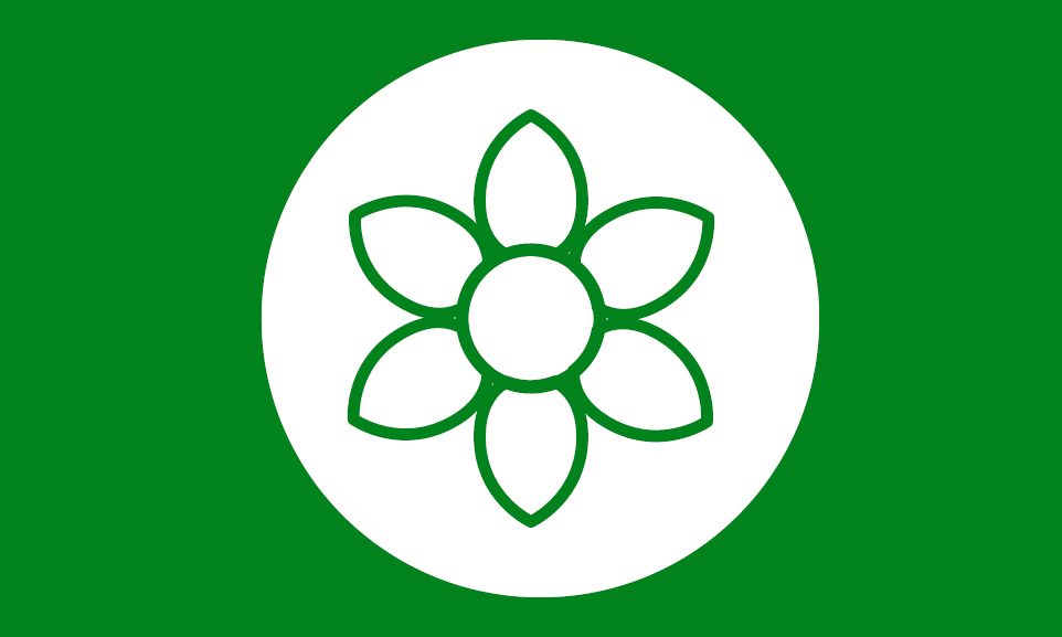 Flagellate Erythema: A Case of Shiitake Dermatitis and Review of ...