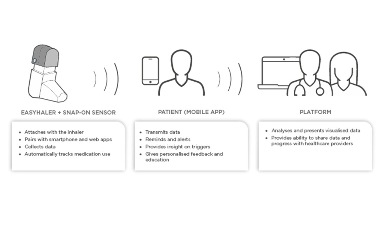 Successful Inhalation Therapy in 2020: Patients and Inhalers in Focus ...
