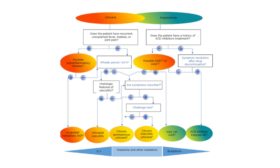 Editor’s Pick: Managing Chronic Urticaria: Quo Vadis? - European ...