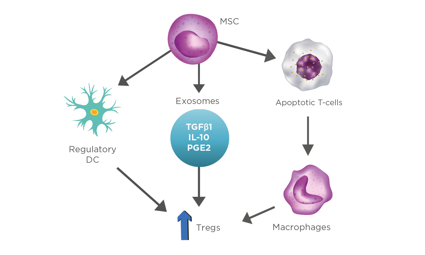 Stem Cell Therapies: A Review of Current Therapeutic Approach for ...