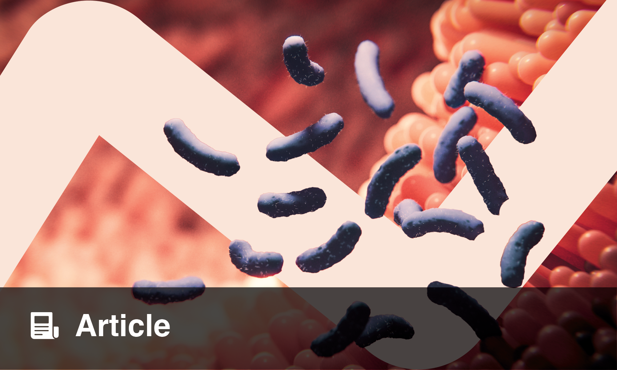 Longitudinal Characterisation of the Gastrointestinal Tract Microbiome ...
