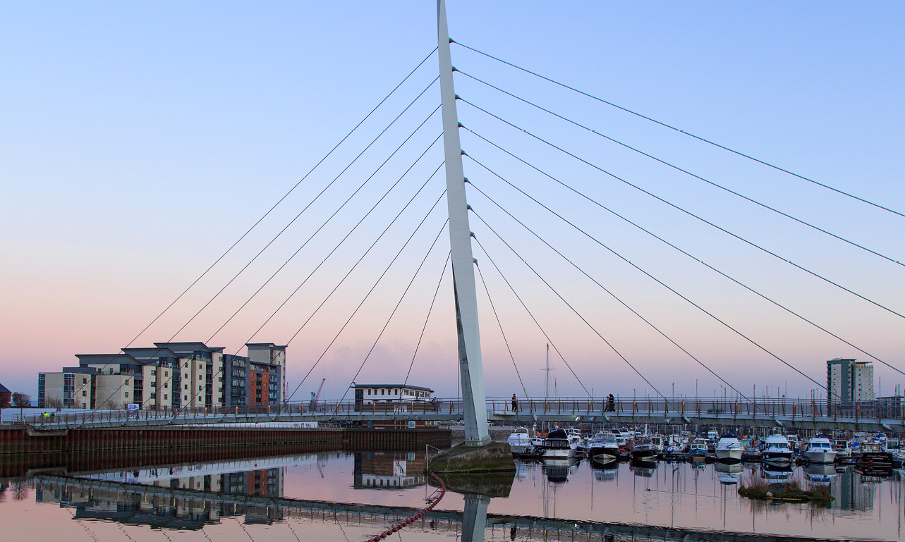 Understanding the Impact of Non-Dystrophic Myotonia on Patients and ...