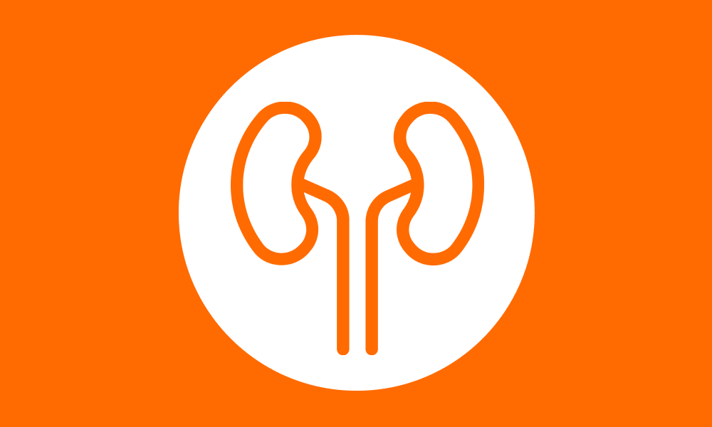 Urinary Bladder Stone: A Late Complication of Bulkamid® Periurethral ...