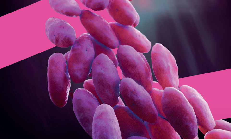 Prevalence of Carbapenem-Resistant Enterobacteriaceae and the Genes ...