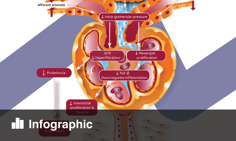 Infographic: The Importance of Medical Nutrition Therapy in Chronic ...