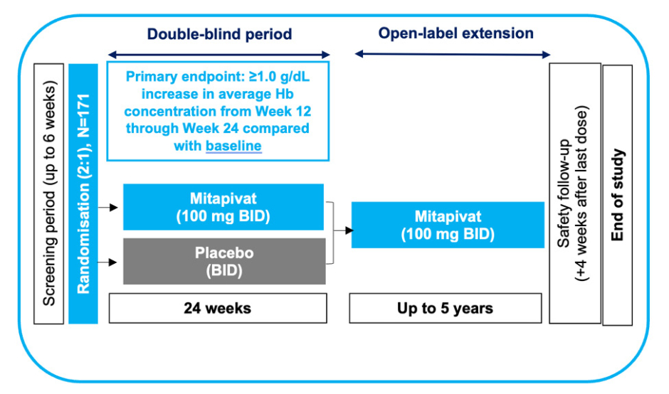 Expert Insights: Phase III Clinical Trials in Non-Transfusion-Dependent ...