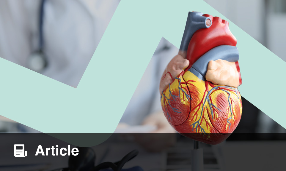 Should Coronary Artery Fistula Be Treated? A Review Throughout a Case ...