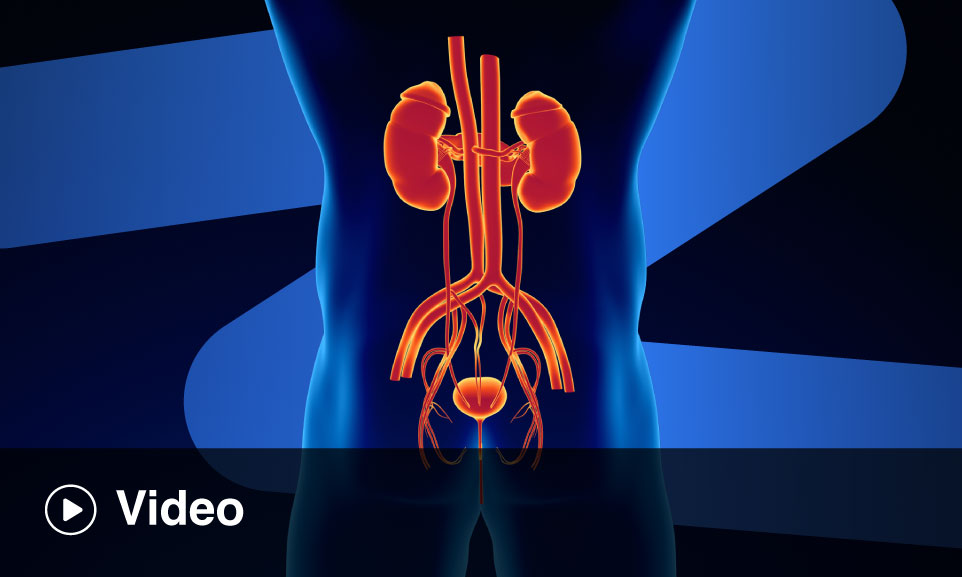 Developments in Genitourinary Cancer Management: Shared Decision Making ...