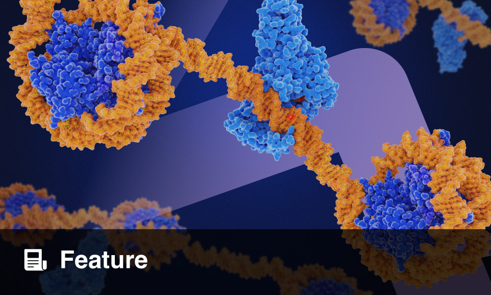 Lasers as Epigenetic Modulators: Reprogramming Skin Biology Toward ...