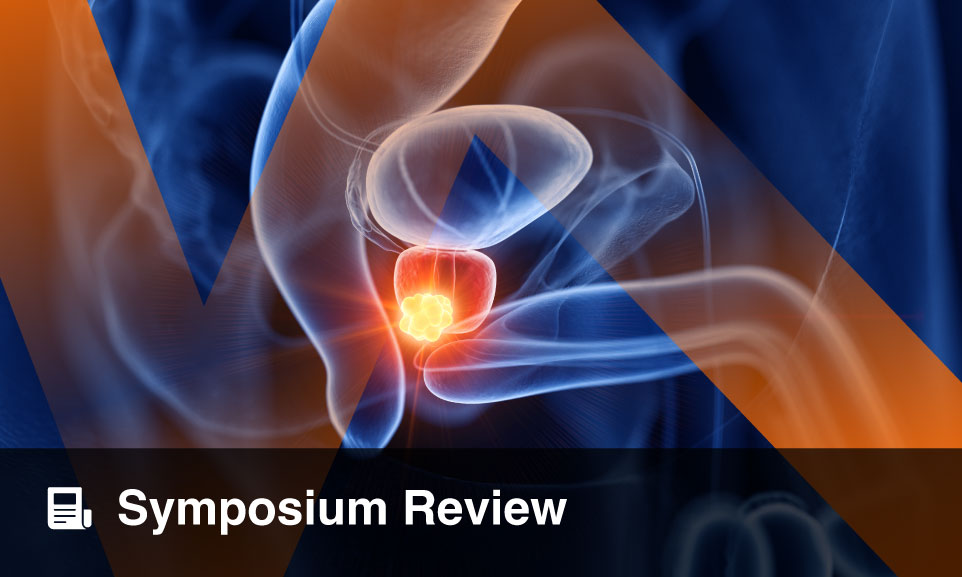Who, What, When: Clinical Viewpoints on Androgen Deprivation Therapy ...